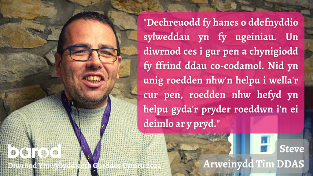 Steve 1 (Welsh) - Barod